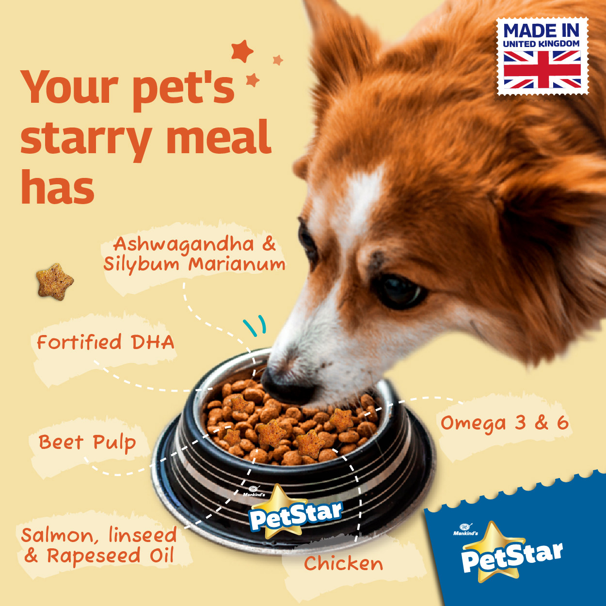 Buy Mankind’s Petstar Dry Dog Food - Chicken & Wheat, For All Breeds, Adults Online at Best ...